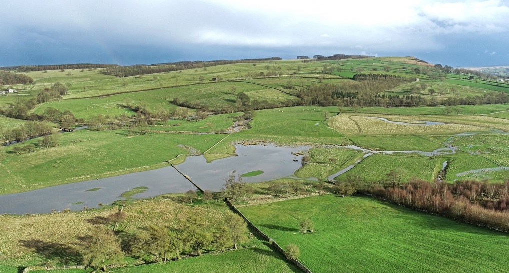 Lowther Conservation