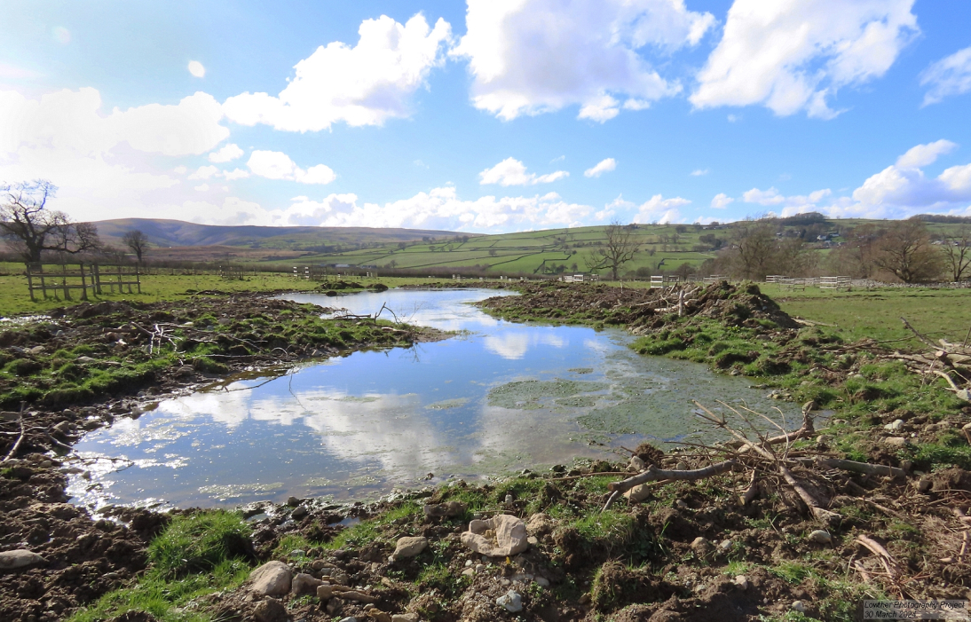 Lowther Conservation