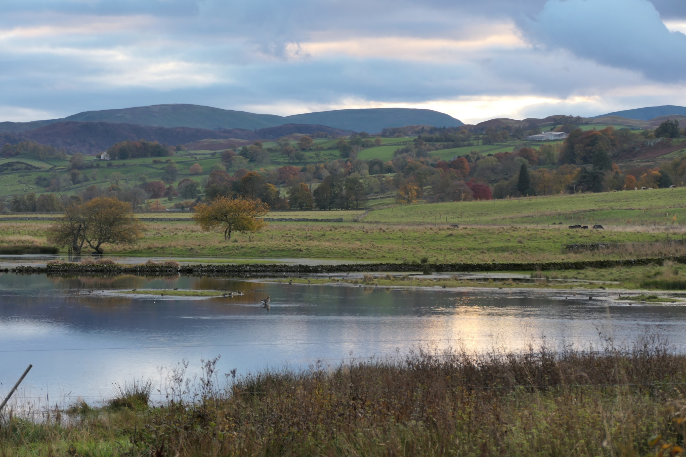 Lowther Conservation